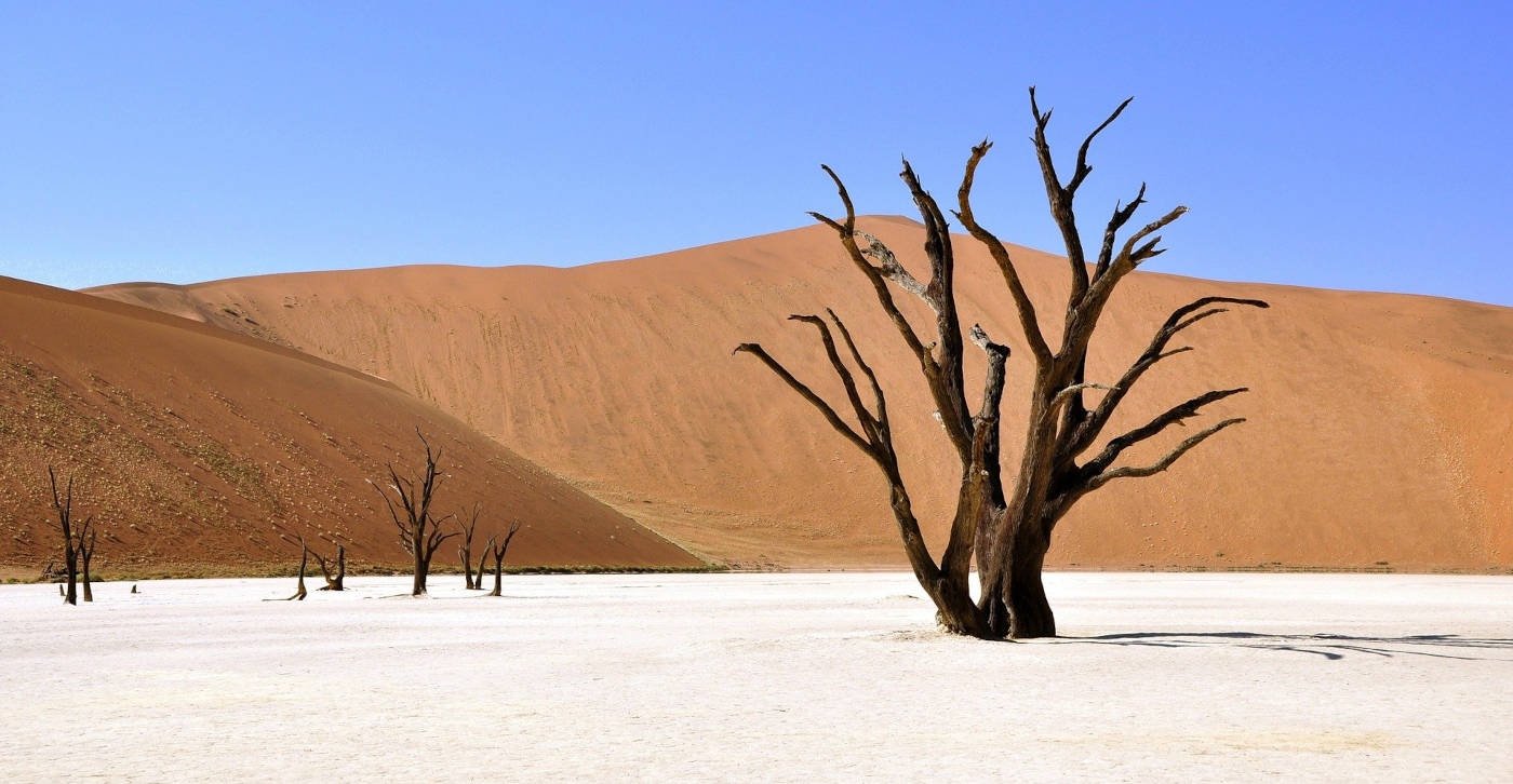 Business Class Flights Namibia | Luxurious Offers