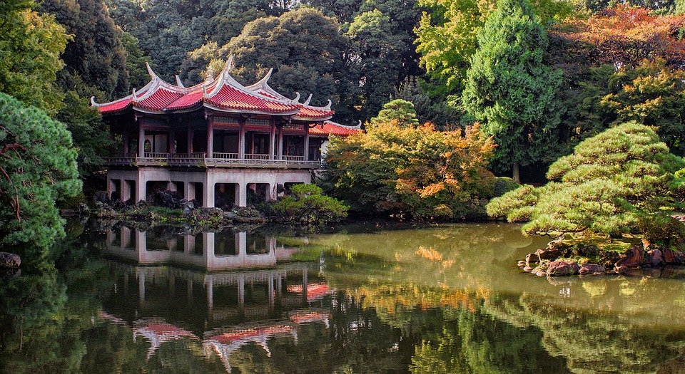 Business Class Flights Asia | Affordable Luxury Deals